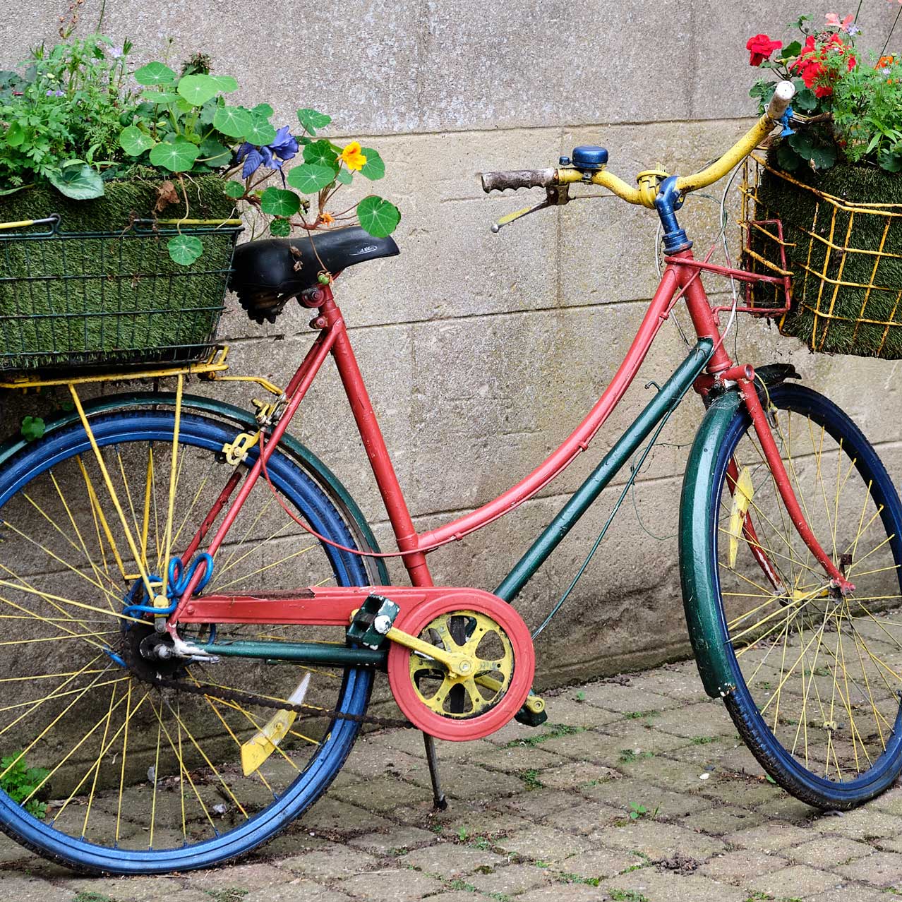 ACE – Aylsham Climate Emergency – Making Aylsham a Sustainable Community